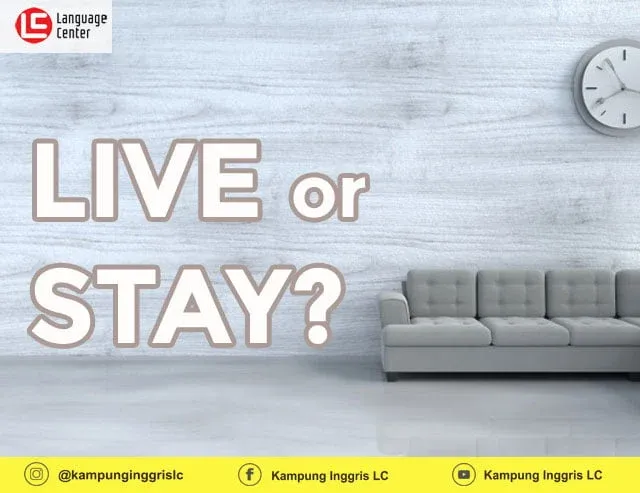 Perbedaan Penggunaan Kata Live dan Stay Beserta Contohnya